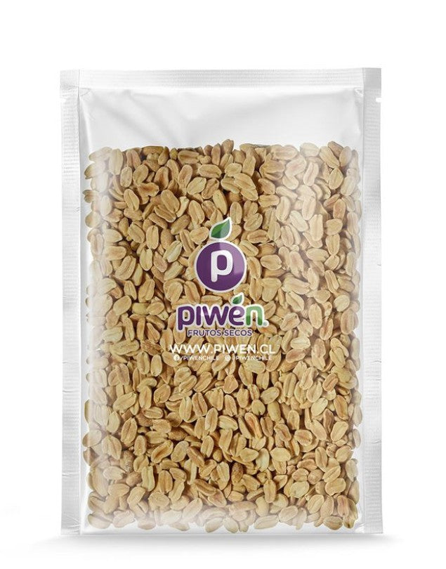 Maní Tostado Sin Sal 500 g – Mixgreen.cl